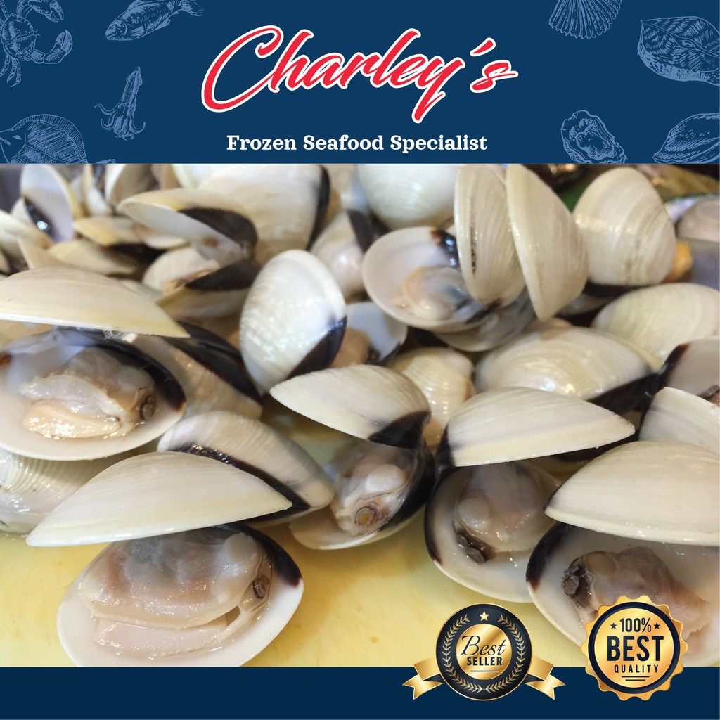 ⚡️ SPECIAL LOCAL ⚡️ XL WHITE CLAM 1KG | Shopee Malaysia