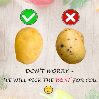 Ubi Kentang / Potato 马铃薯 [1KG] [READY STOCK] [Harga Borong] |Fresh Food ...