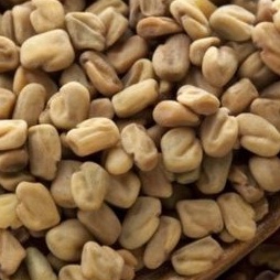 Fenugreek /Halba /Venthayam 250g& 500g | Shopee Malaysia