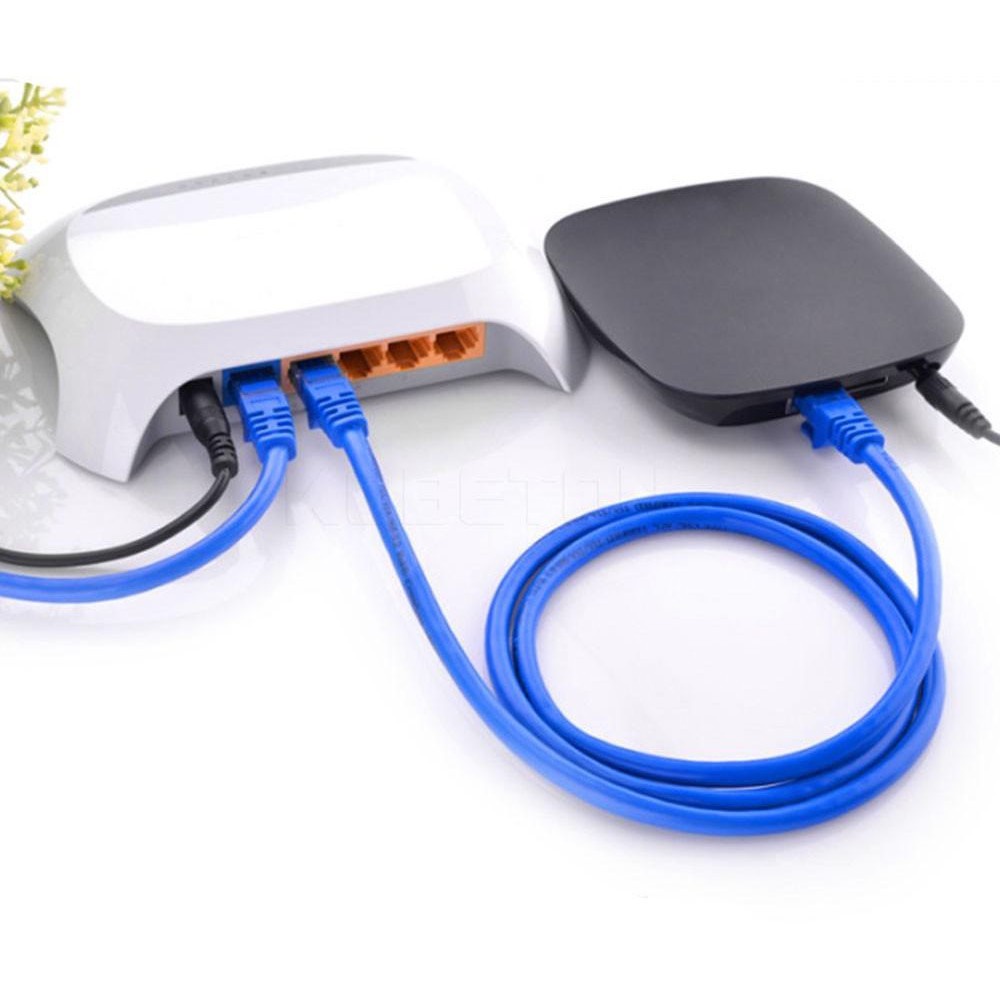 Cat6 Cat5e Internet Cable 20M - 50 Meter Network RJ45 Ethernet Lan CAT ...