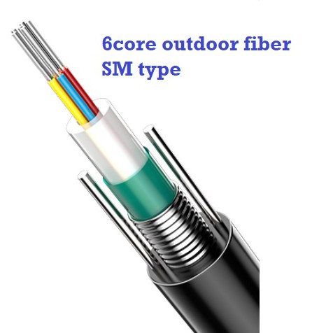 FIBER OPTIC 6 to 12 CORE SINGLE MODE CABLE | Shopee Malaysia