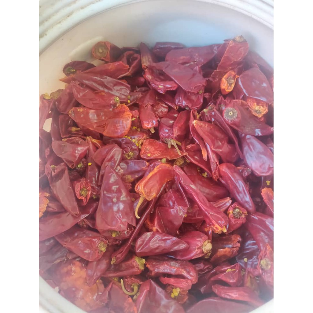 🔥 LADA KERING BUAH BESAR TAK PEDAS 🔥 CILI KERING BUAH BESAR / CABAI ...