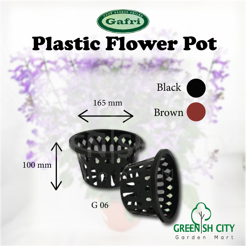 GNC - GAFRI G06 Orchid Flower Pot Pasu Orkid Bunga 挂墙式花盆 | Shopee Malaysia