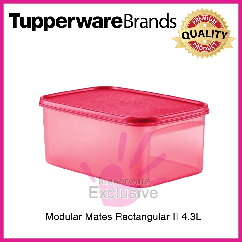 𝐒𝐀𝐋𝐄 💥 Modular Mates Rectangular 4.3L Tupperware Original Ready Stock ...