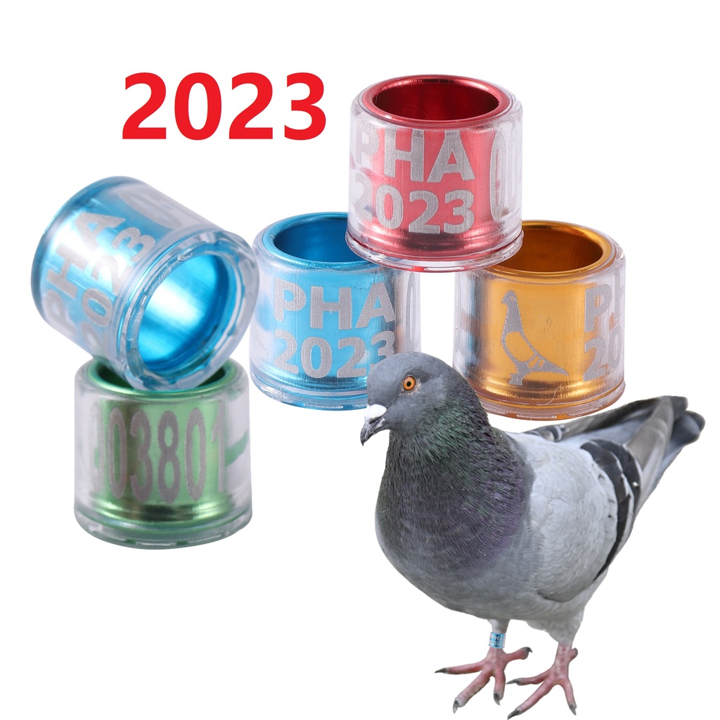 15/30 Pcs 8mm PHA Transparent Pigeon Foot Rings 2023 Aluminum Plastic ...