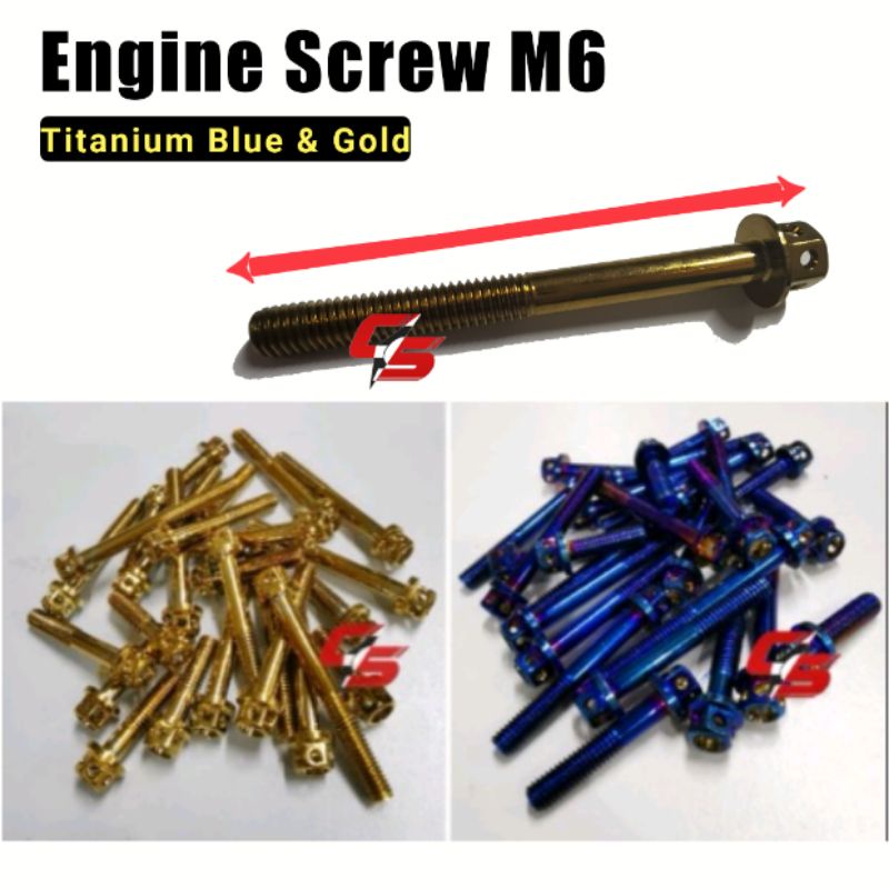 King Drag Engine Screw Alley key M6 TITANIUM BLUE & GOLD 25MM 30MM 45MM ...