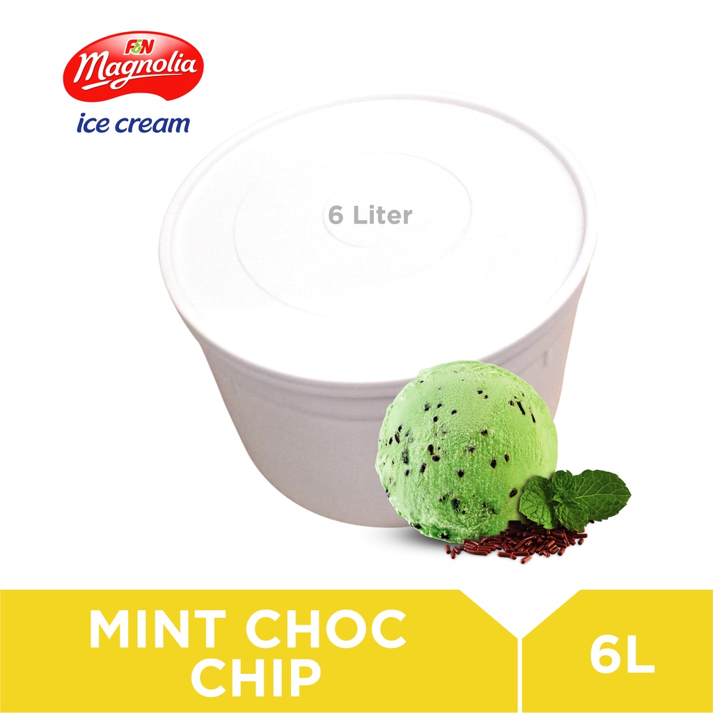 Magnolia Mint Choc Chips 6L Ice Cream | Shopee Malaysia