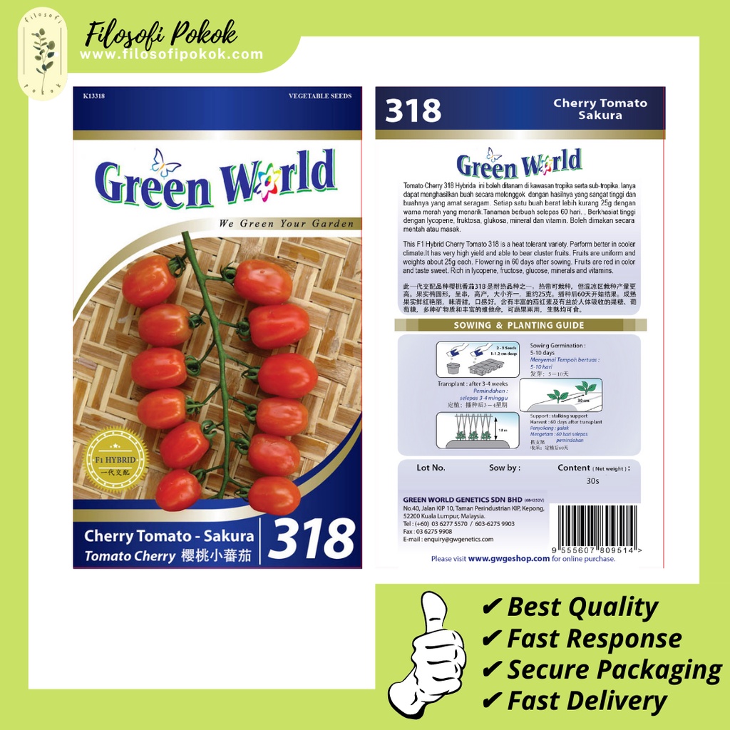 GWG Green World 318 Cherry Tomato Sakura Tomato Ceri | Shopee Malaysia