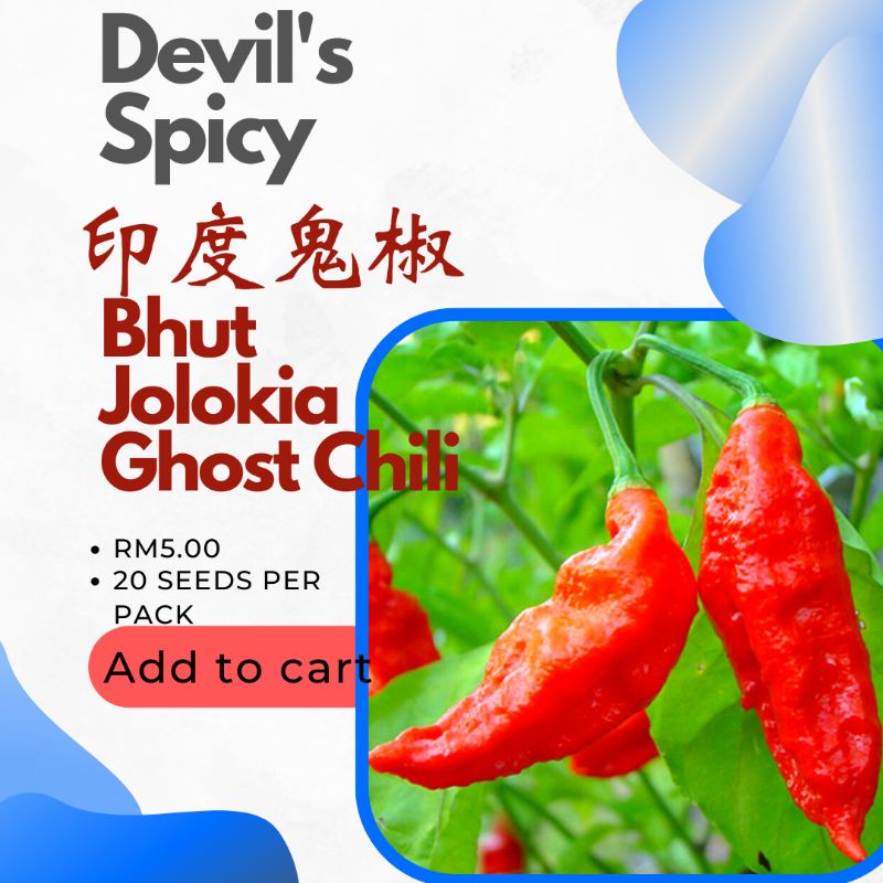 Biji benih bhut jolokia ghost chili pepper/印度鬼椒/20seeds | Shopee Malaysia