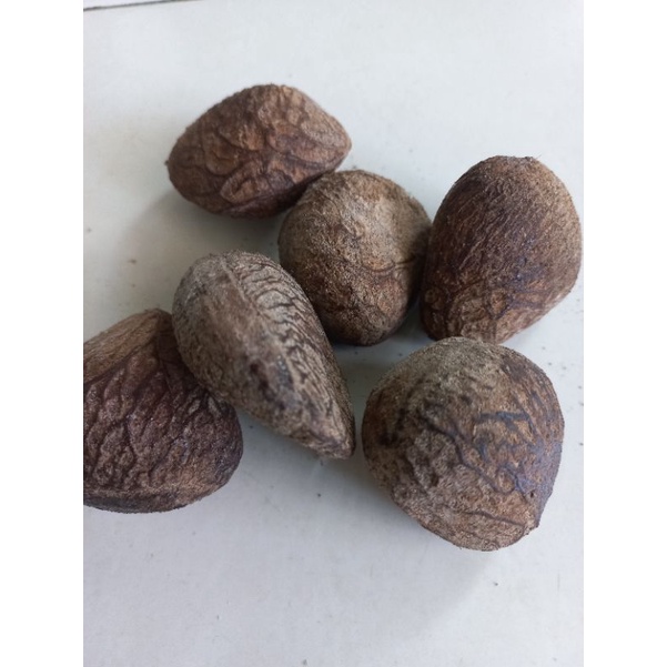 kluwek/ kluwak rawon super 500 gr | Shopee Malaysia