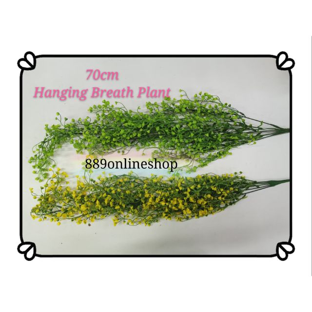 🌿Readystock/ Hanging Breath PLANT 70cm | Shopee Malaysia