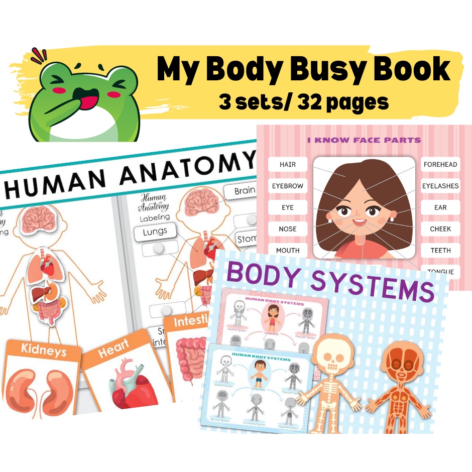 A151 - Printable My Body Busy Book 3 sets 32 pages [PDF] human anatomy ...