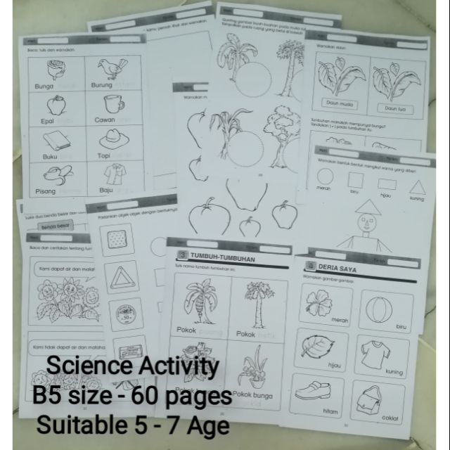 Kindergarten Primary Science WRITING Worksheets Holidays Homework KIDS ...