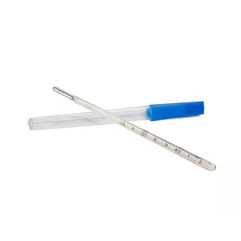 Mercury Glass Thermometer Clinical Medical Temperature Monitors Home ...