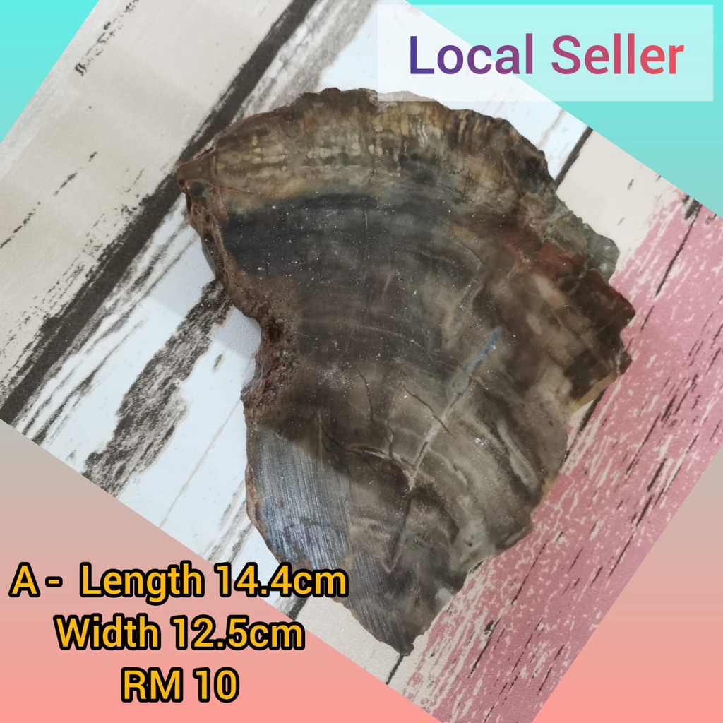 Unik untuk Set makan Natural Petrified Wood Deco Dining Coaster Alas ...