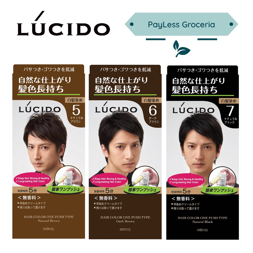 LUCIDO Hair Color One Push Type - Dark Brown / Natural Brown / Natural ...