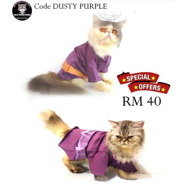 Baju raya kucing code dusty purple *baju kurung | Shopee Malaysia