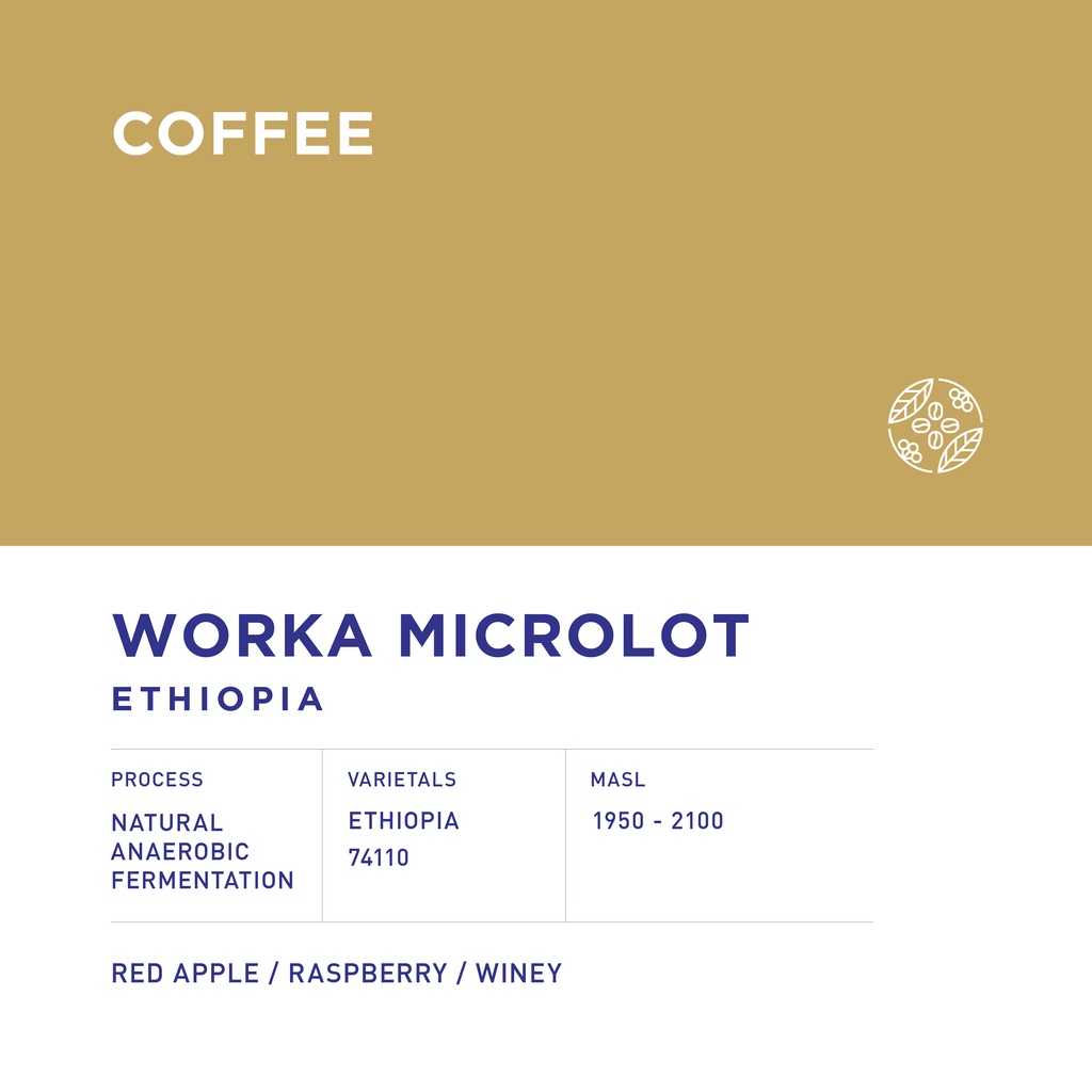 Forest Cloud Ethiopia Worka Microlot (Anaerobic Fermentation) Freshly ...