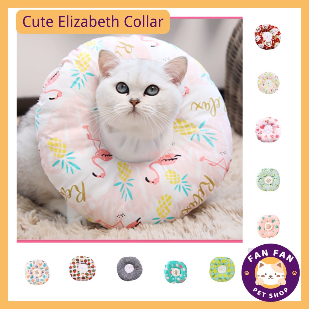 READY STOCK Pet Protective neck cat Dog neck collar Elizabeth collar ...