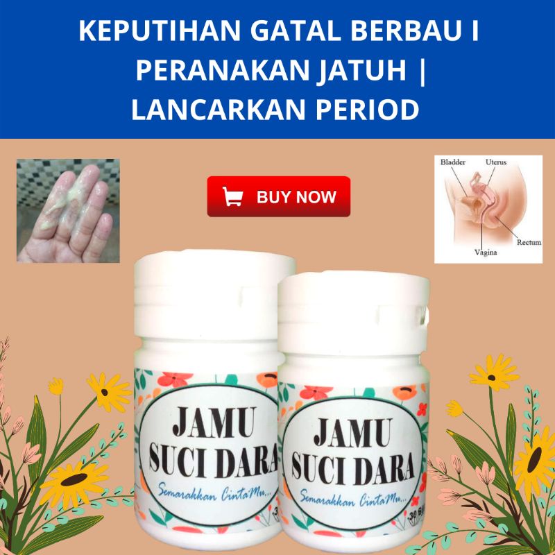 💯 Original Jamu SuciDara🔥 Jamu Tradisiona l Rahim Kembang | Tombong ...