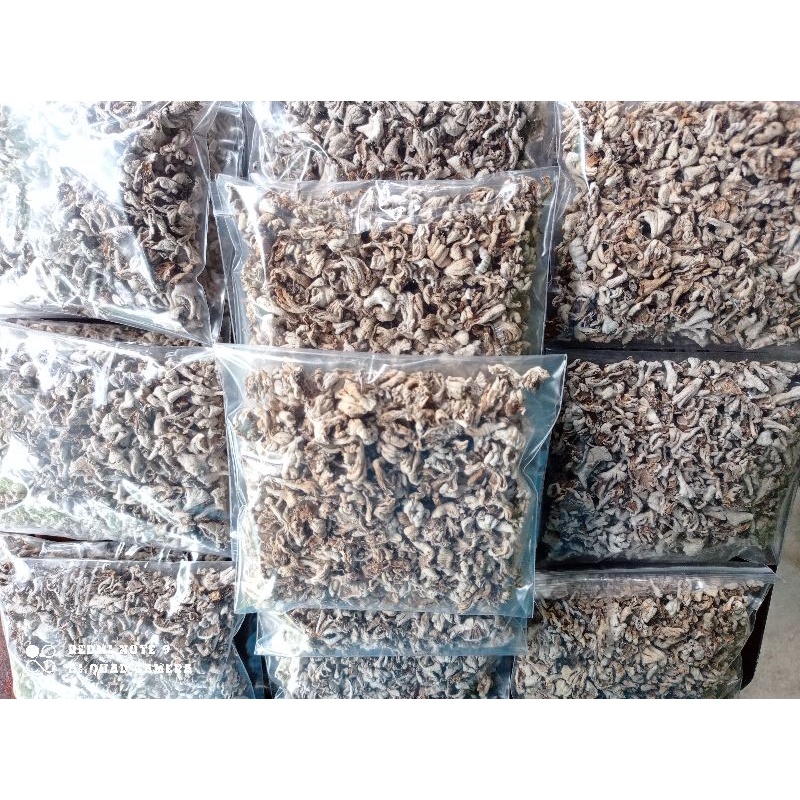 cendawan kukur/kulat sisir kering (READY STOCK) | Shopee Malaysia