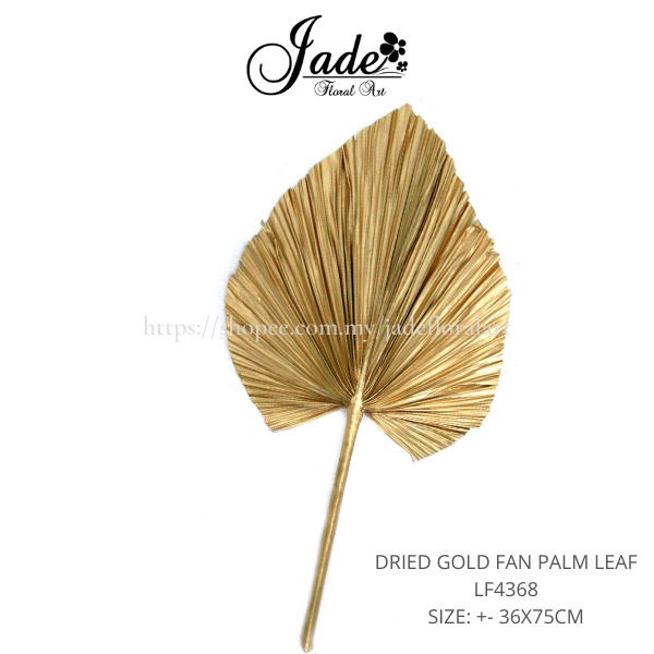 DAUN KIPAS KERING / PALM LEAF / DAUN PALMA / DAUN PALM/ DAUN PELAMIN ...