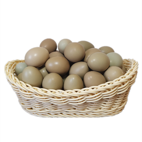 Mountain eggs 30 colorful eggs edible authentic farm fresh eggs native ...