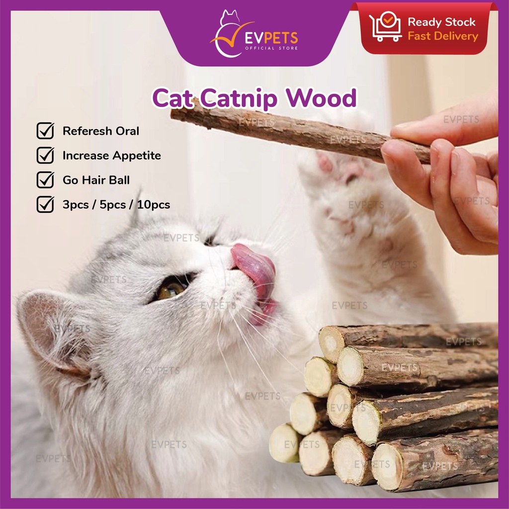 Catnip Treat Wood Matatabi Teeth Molar Cat Chew Stick Cat Treats Cat ...
