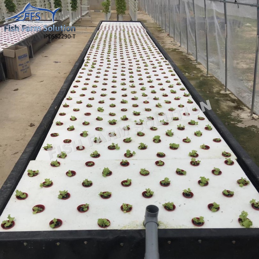 36/64 pots Hydroponic Aquaponic Foam Floating Board [60cmx120cmx4cm ...