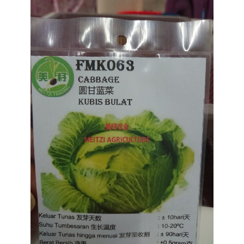 BENIH SAYUR 菜籽 - FMK063 CABBAGE 圆甘蓝菜 KUBIS BULAT | Shopee Malaysia