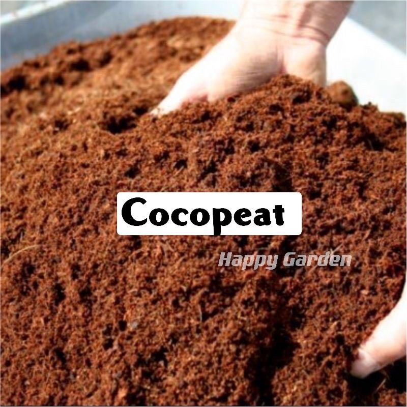 Sekam Padi Mentah/Sekam Bakar/Tanah Sawit/Cocopeat/Burnt Paddy Husk ...