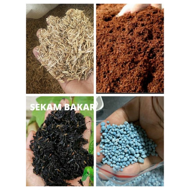 Media tanaman cocopeat, sekam mentah, tanah hitam dan baja | Shopee ...