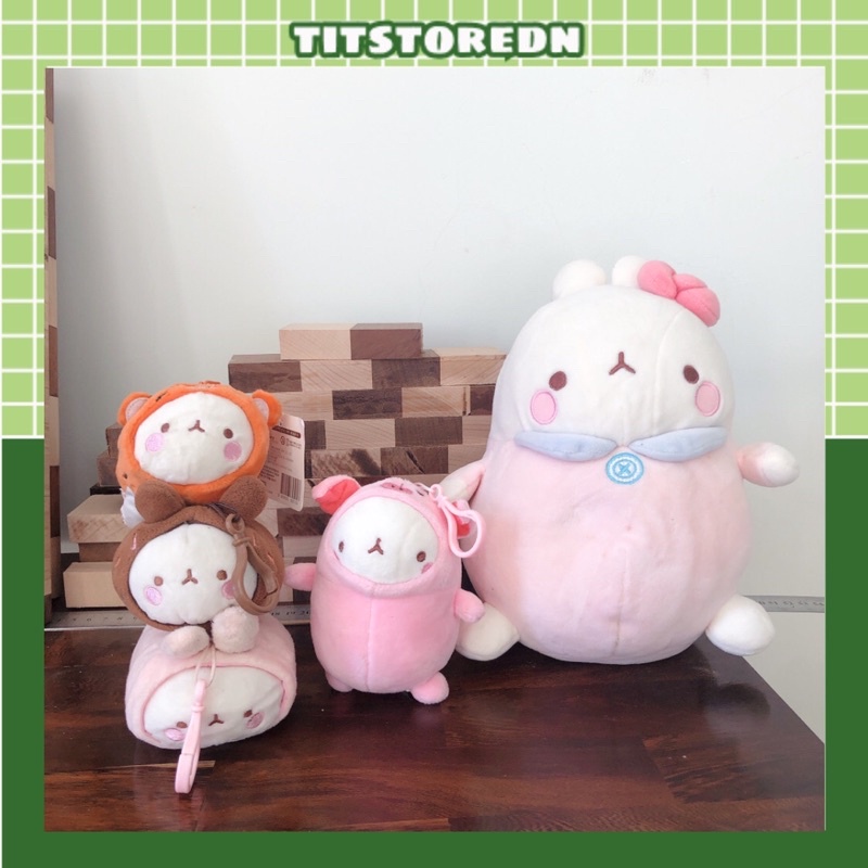Super cute Korean molang teddy bear | Shopee Malaysia