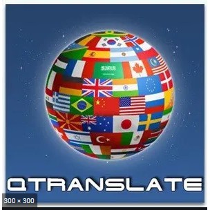 QTranslate (Text Translator for Windows PC) | Shopee Malaysia