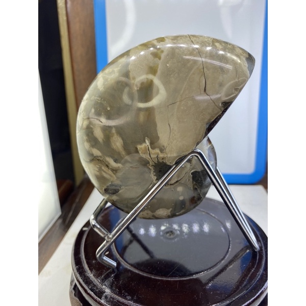 Premium Grade Ammonite Shell Crystal (0.78kg) | Shopee Malaysia