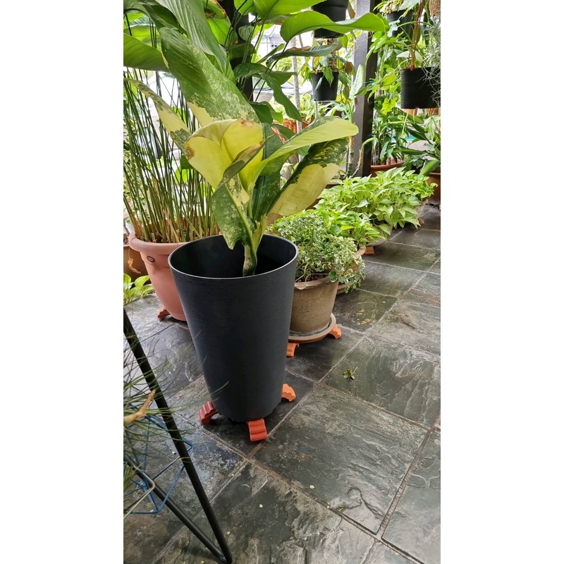 [NEW ARRIVAL...!!!] Round Flower Pot FBL 2716 / PASU BUNGA BULAT TINGGI ...