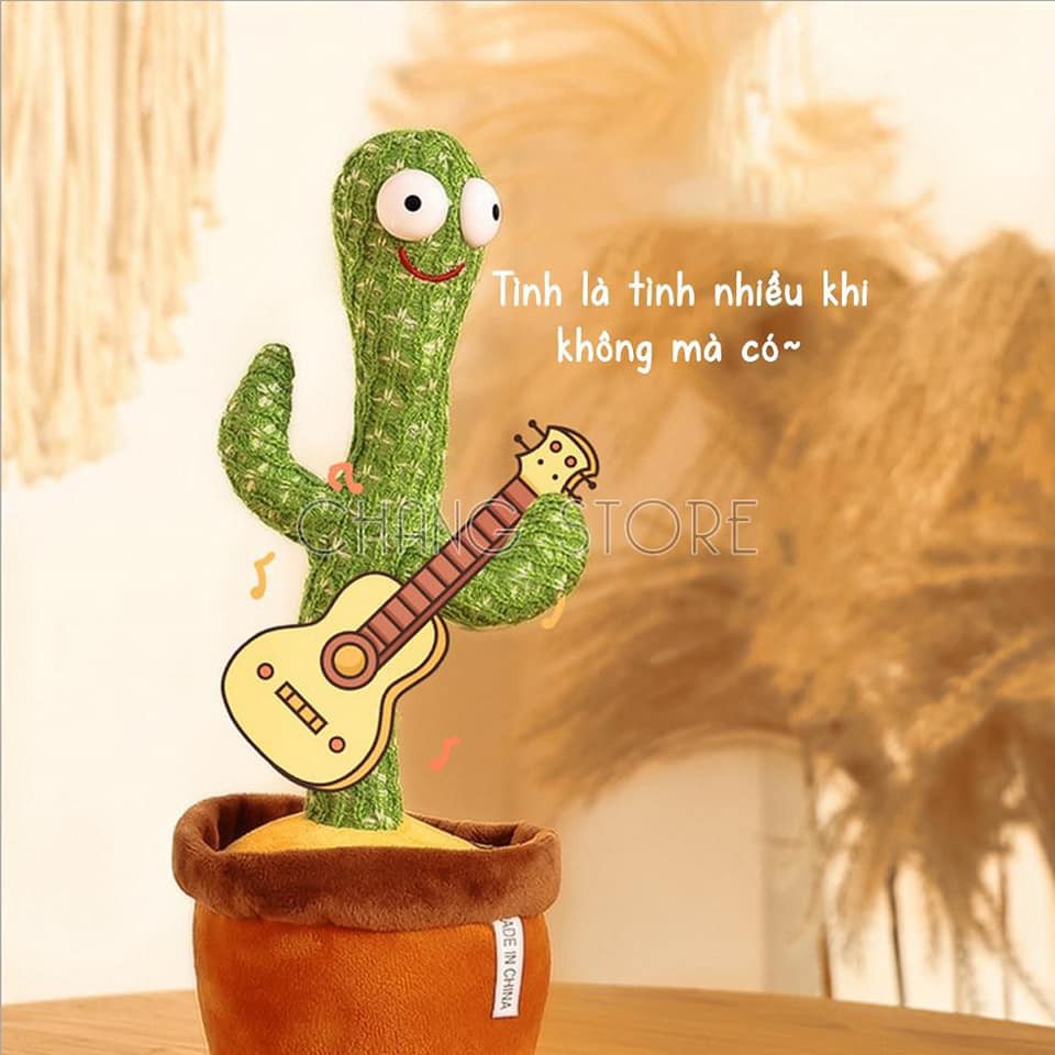 Dancing Cactus, Mimicking Cactus | Shopee Malaysia