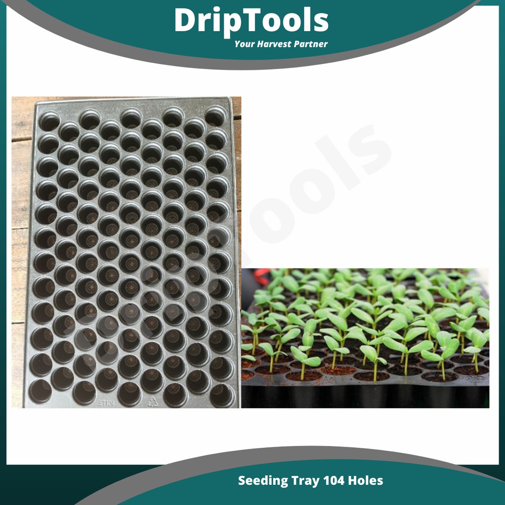 Seedling Tray Semaian Tanaman 104 Holes, Nursery Tray, 104 Hole/ Lubang ...