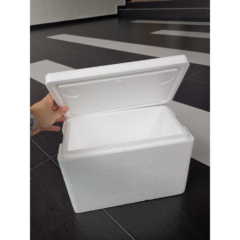 Polystyrene Foam /Bettafish Box /Betta Box / Gabus Tong / Kabus ...