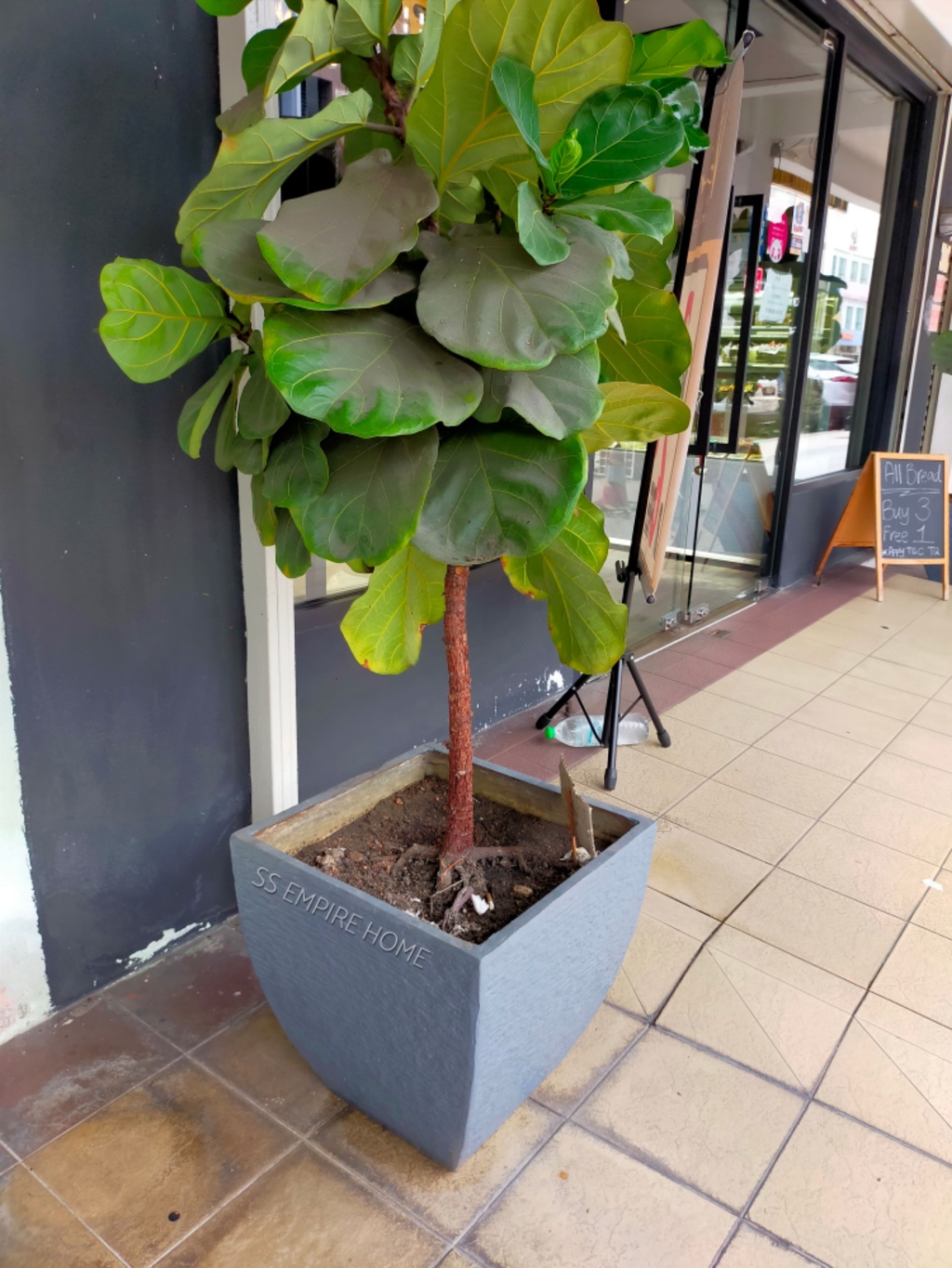 REX FP01 Black Fiberglass Flower Pot Pasu Bunga Garden Taman Plant ...