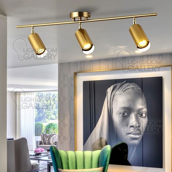 LED GOLDEN TRACK LIGHT / DOWNLIGHT / CEILING LIGHT | Shopee Malaysia