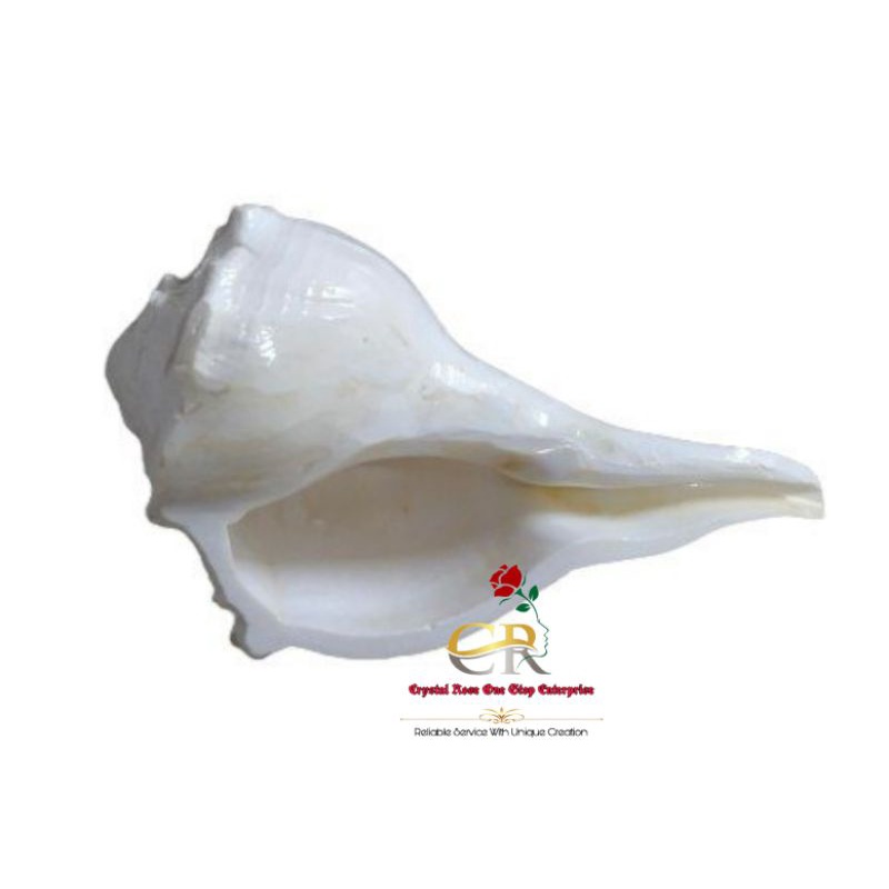 Valampuri Sangu With Brass Sangu Stand+FREE Kuberlaxmi Coin | Shopee ...