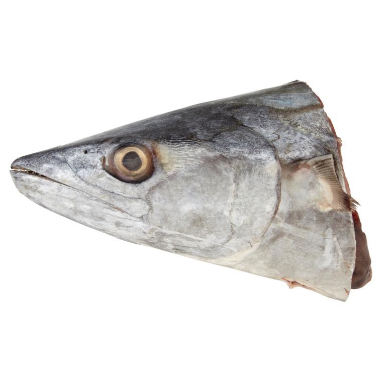 Ikan Tenggiri Batang/Bunga (Narrow-Barred/Spotted Spanish Mackerel ...