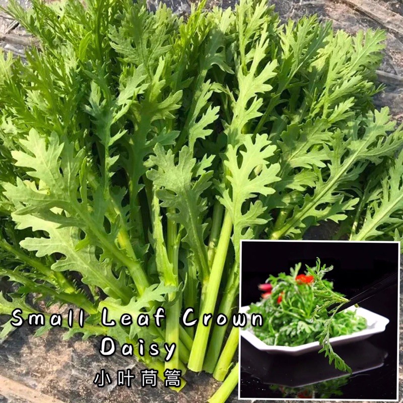 Ready Stock Vegetables Seeds Small Leaf Crown Daisy Biji Benih Sayur ...