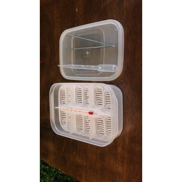 Reptile egg incubator (egg) (reptiles) (leopard gecko) (bearded dragon ...