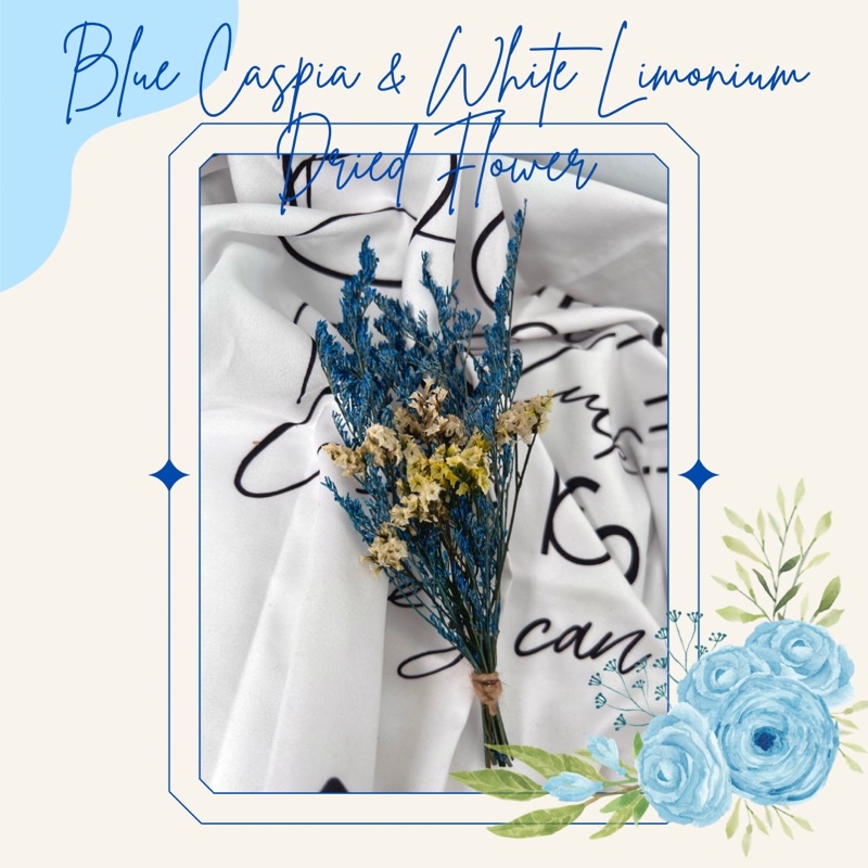 Dried Flower Mini Bouquet Blue Caspia and White Limonium Real Preserved ...
