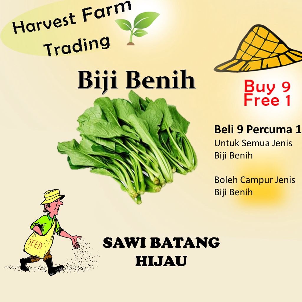 biji benih sayur sayuran pelbagai bunga vegetable seed bibit anak pokok ...