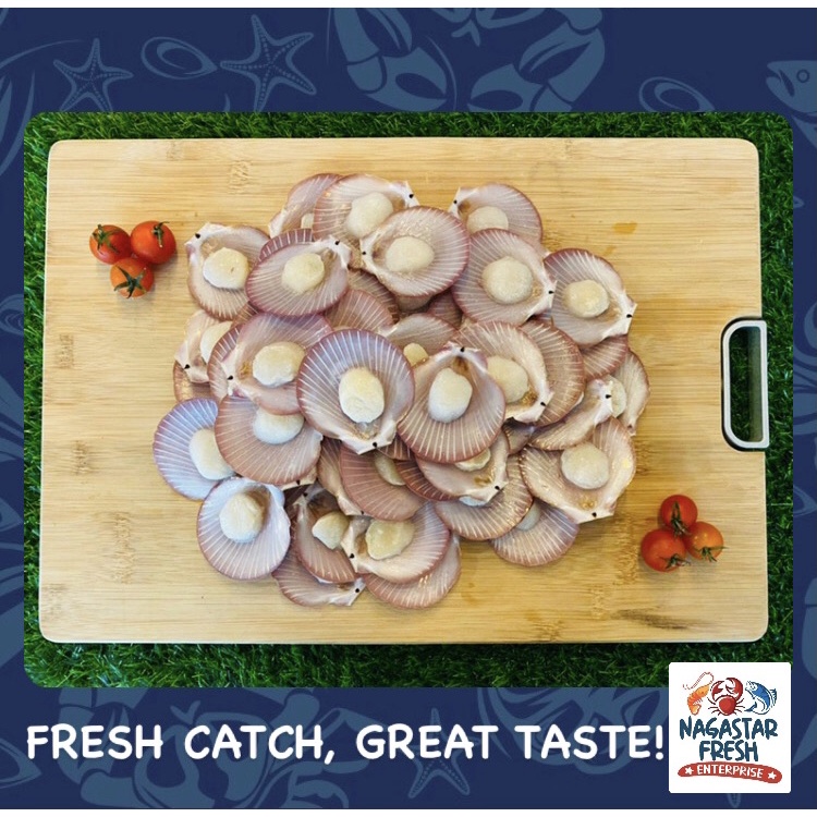HALF SHELL PINK SCALLOP FRESH FROZEN LOCAL | Shopee Malaysia