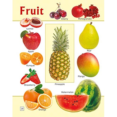 English Book/My First 1000 Words Picture Book for Early Learners / ABC ...