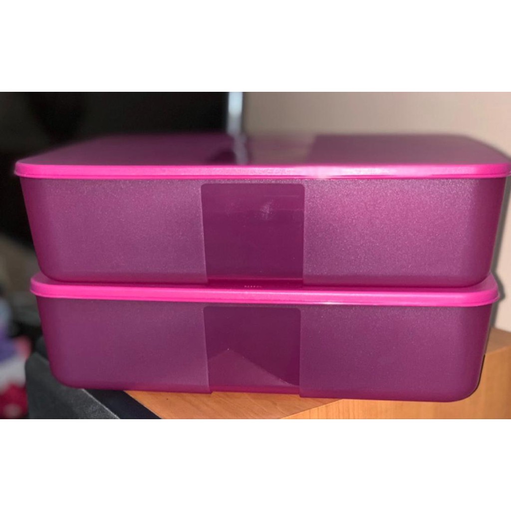 2PCS of Purple Exclusive Rectangular Freezer Mate 3.1L (Tupperware ...